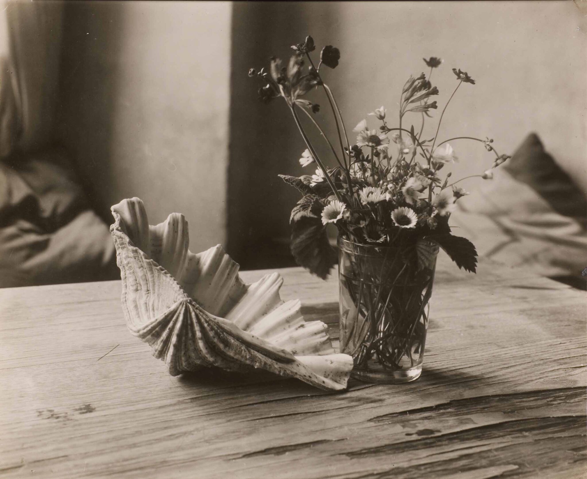 The Photographer Josef Sudek - The Museum of Decorative Arts in Prague